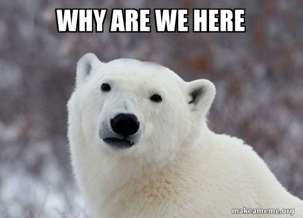 why are we here - Popular Opinion Polar Bear Meme Generator
