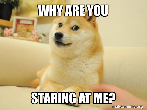 WHY ARE YOU STARING AT ME? - Doge Meme Generator