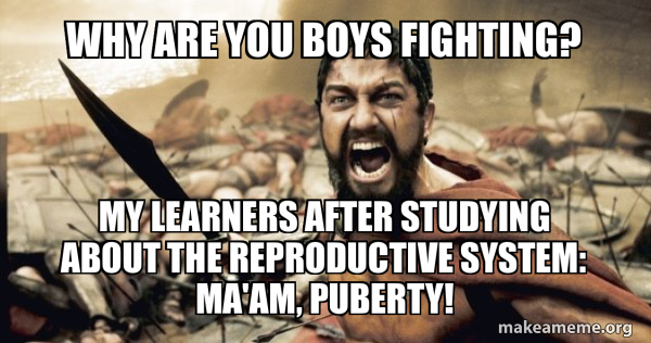 Why are you boys fighting? My learners after studying about the ...