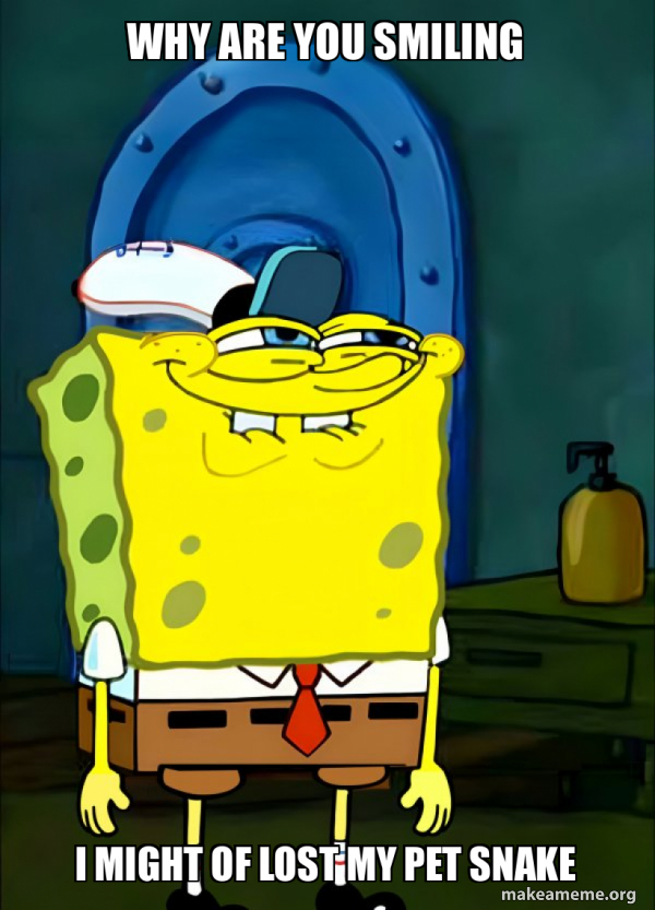 why are you smiling I might of lost my pet snake - SpongeBob Grin Meme ...