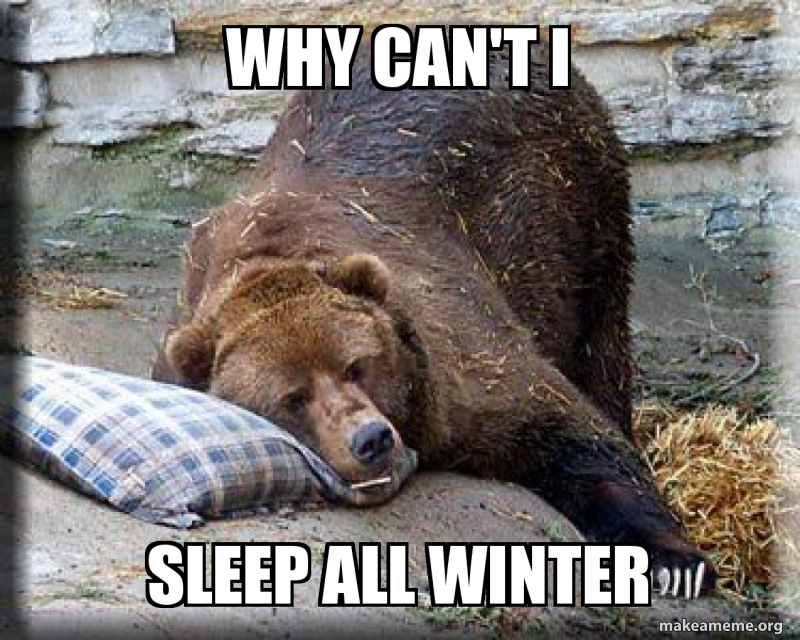 why can't i sleep all winter Meme Generator