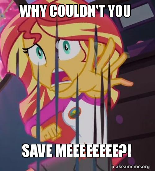 Why couldn't you save Meeeeeeee?! Meme Generator