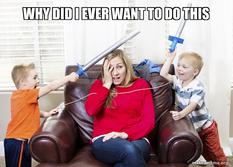 why did i ever want to do this Meme Generator