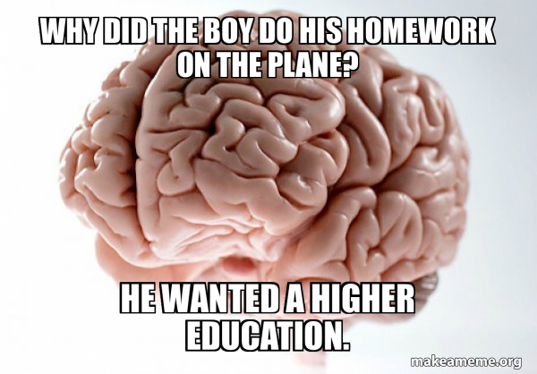 Why did the boy do his homework on the plane? He wanted a higher ...