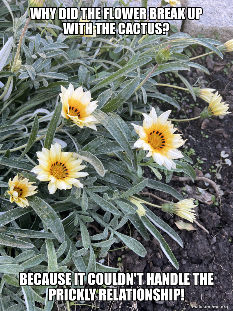 Why did the flower break up with the cactus? Because it couldn't handle ...