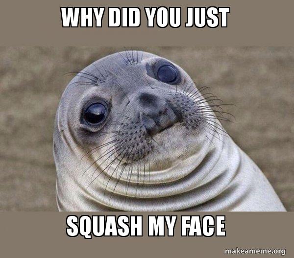 Why did you just SQUASH MY FACE - Squeamish Seal Meme Generator