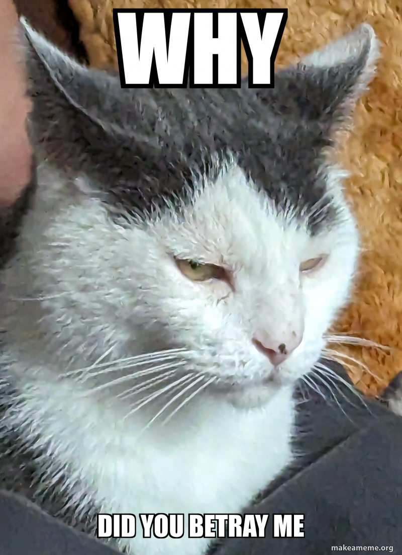 Why Did you betray me Meme Generator