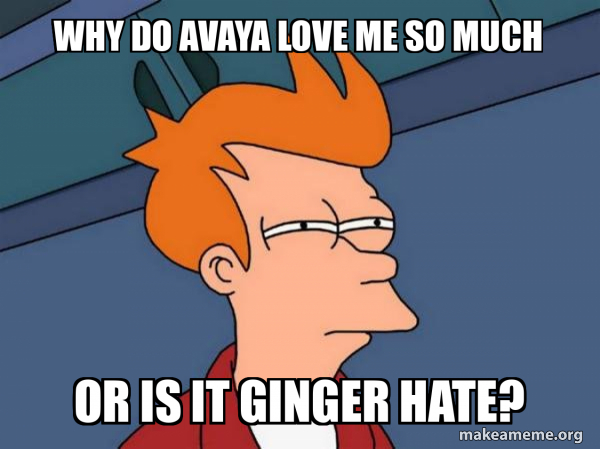why do avaya love me so much or is it ginger hate? - Futurama Fry Meme ...