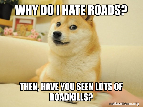 Why do I hate roads? Then, Have you seen lots of roadkills? - Doge Meme ...