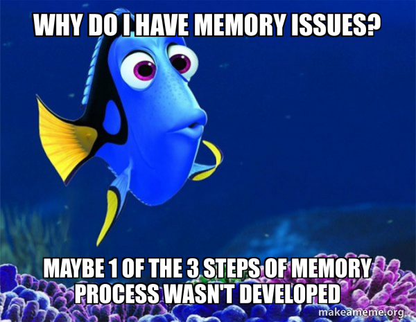 Why do I have memory issues? Maybe 1 of the 3 steps of memory process ...