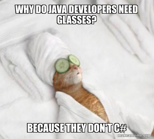 Why Do Java Developers Need Glasses? Because They Don't C# - Pampered Cat Meme Meme Generator
