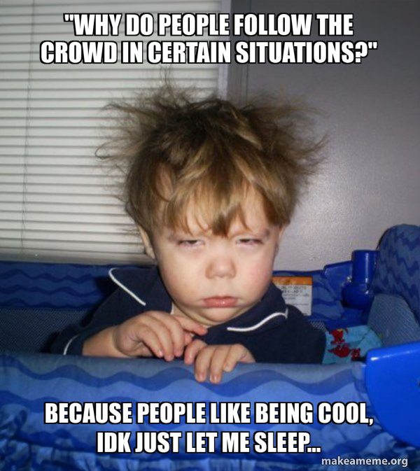 "why do people follow the crowd in certain situations?" because people ...