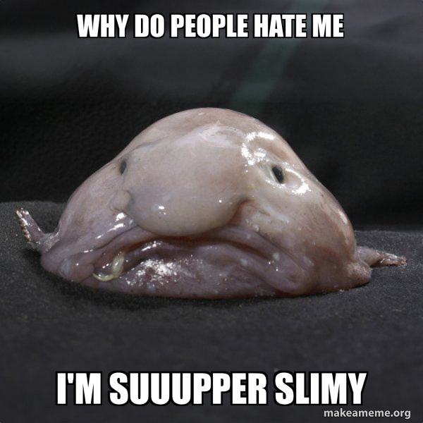 why do people hate me I'm suuupper slimy - Blobfish Meme Generator