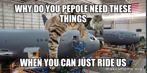 WHY DO YOU PEPOLE NEED THESE THINGS WHEN YOU CAN JUST RIDE US Meme ...