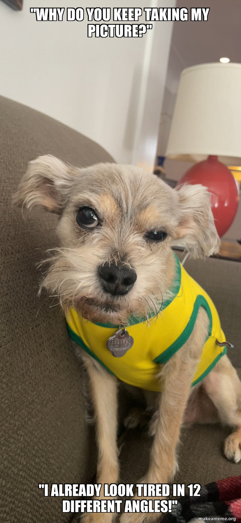 "Why do you keep taking my picture?" "I already look tired in 12 ...