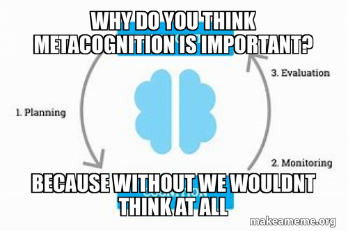Why do you think Metacognition is impORTANT? Because without we wouldnt ...