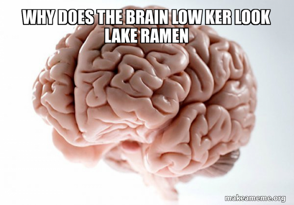 why does the brain low ker look lake ramen - Scumbag Brain Meme Generator