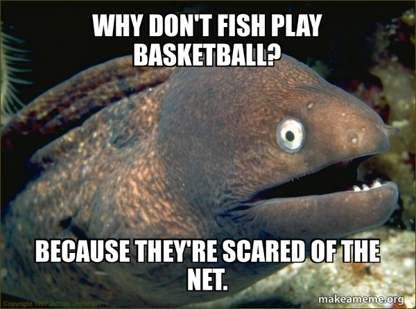 Why don't fish play basketball? Because they're scared of the net ...