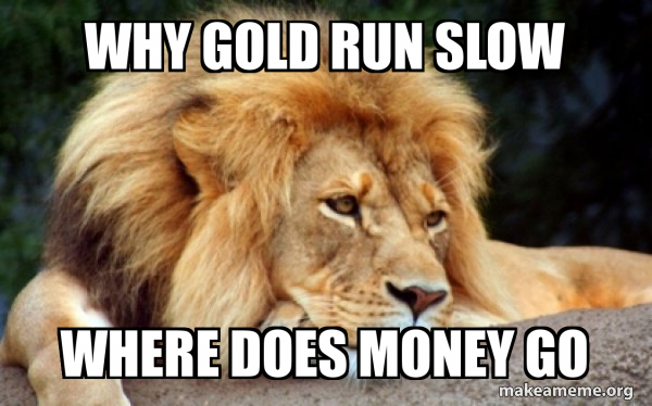WHY GOLD RUN SLOW WHERE DOES MONEY GO - Confession Lion Meme Generator