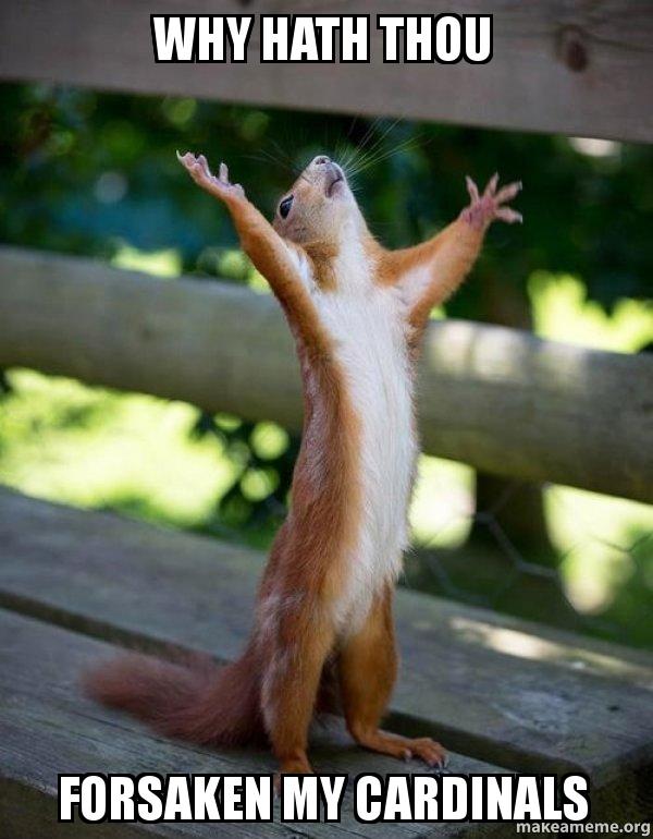 WHY HATH THOU FORSAKEN MY CARDINALS - Happy Squirrel Meme Generator