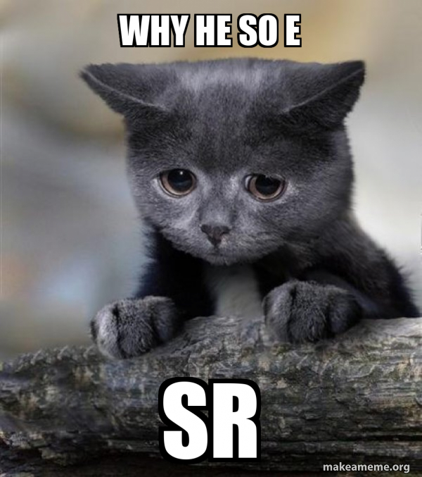 why he so e sr - Confession Cat Meme Generator