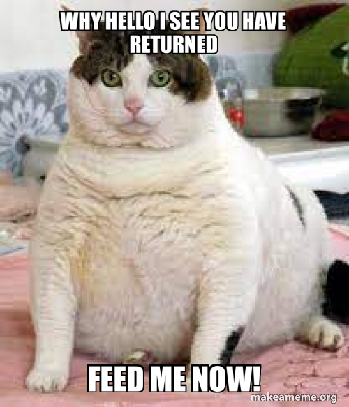 why hello i see you have returned FEED ME NOW! Meme Generator