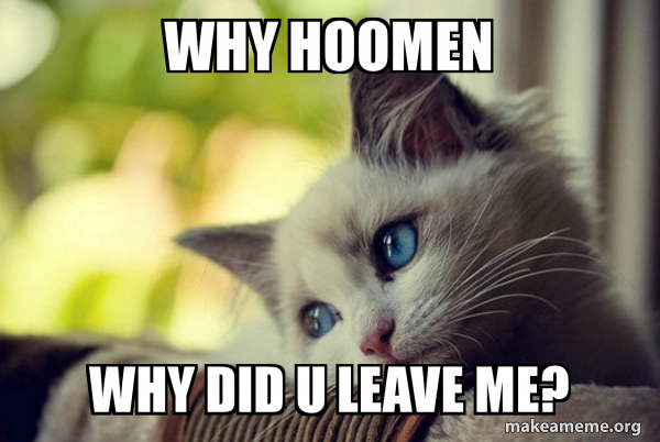 Why Hoomen Why did u leave me? - First World Cat Problems Meme Generator