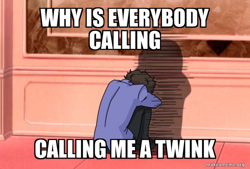 WHY IS EVERYBODY CALLING CALLING ME A TWINK Meme Generator