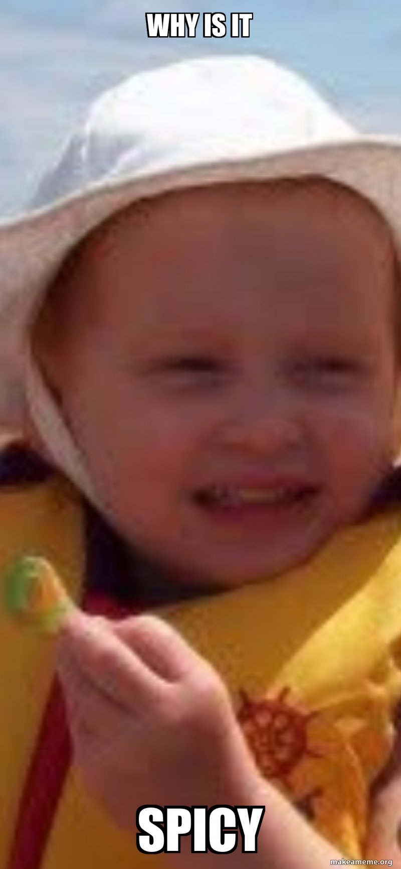 WHY IS IT SPICY Meme Generator