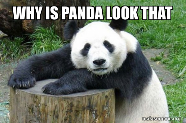 Why is panda look that - Confession Panda Meme Generator