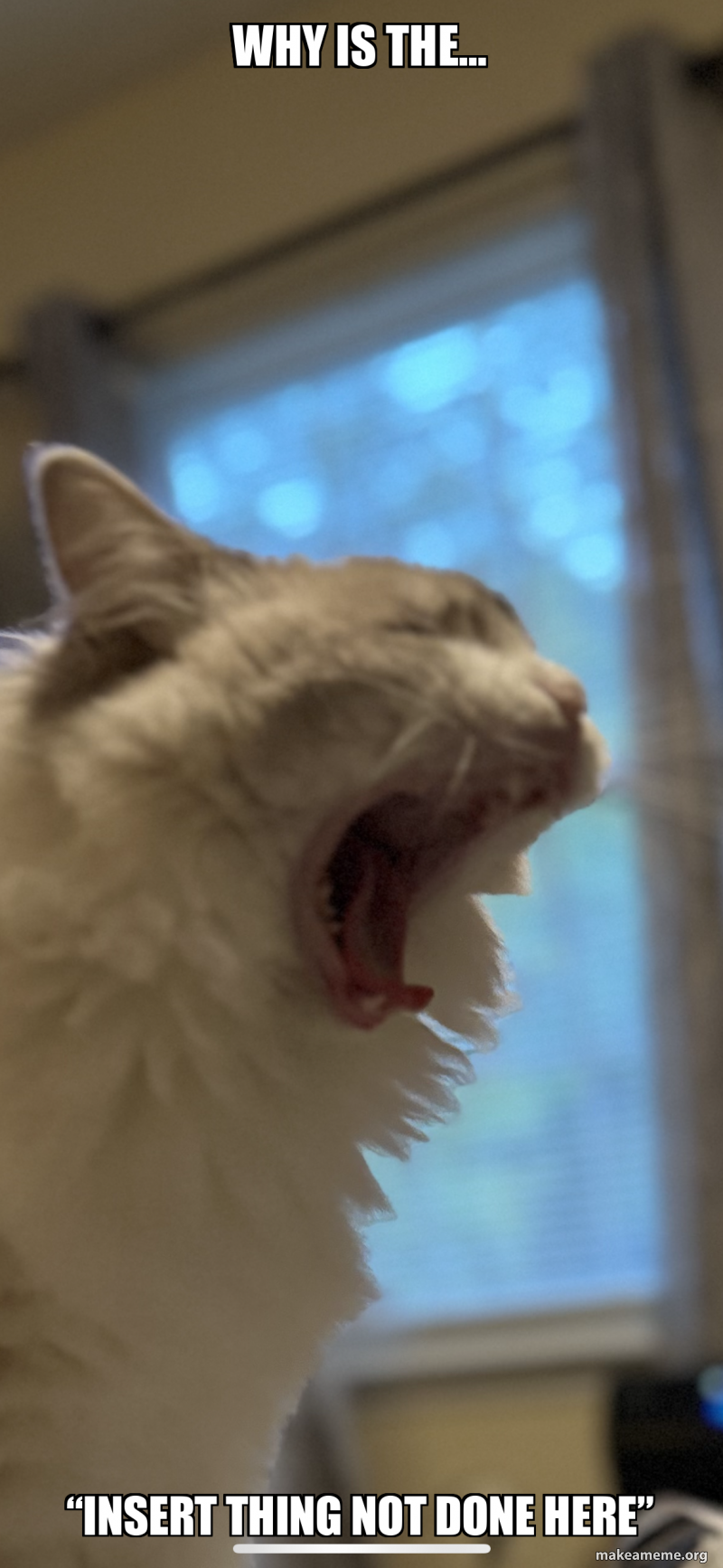 Why is the… “Insert Thing not done here” Meme Generator