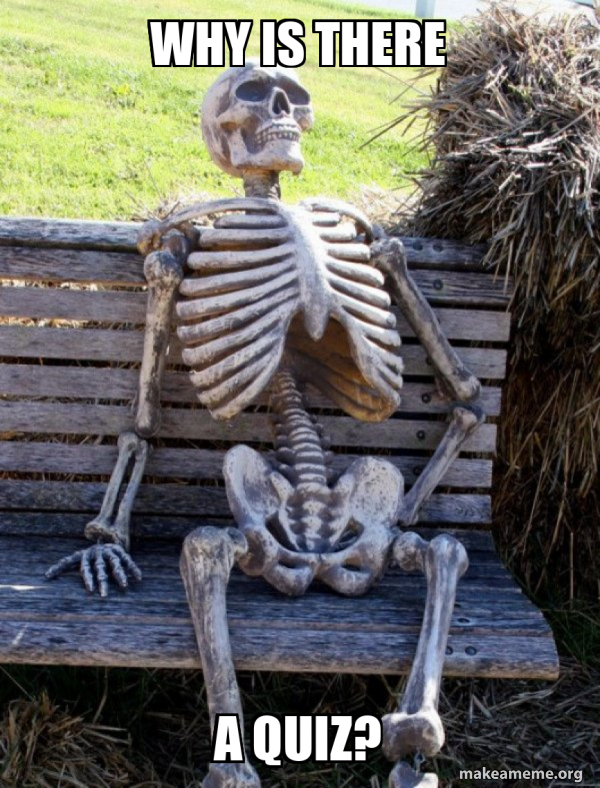 Why is there a quiz? - Waiting Skeleton Meme Generator