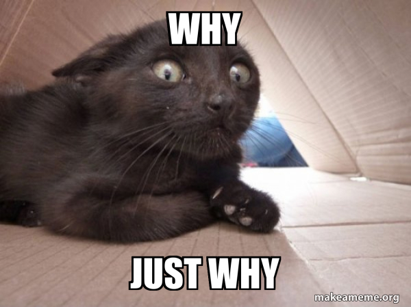 why just why - Schitzo Cat Meme Generator