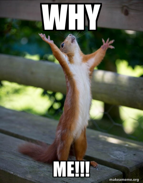 Why Me!!! - Happy Squirrel Meme Generator