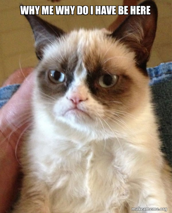 why me why do i have be here - Grumpy Cat Meme Generator