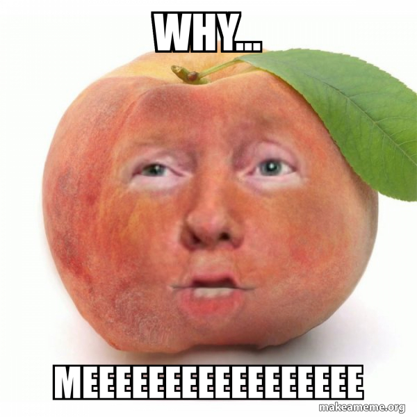 WHY... MEEEEEEEEEEEEEEEEE - Impeached Donald Trump Meme Generator