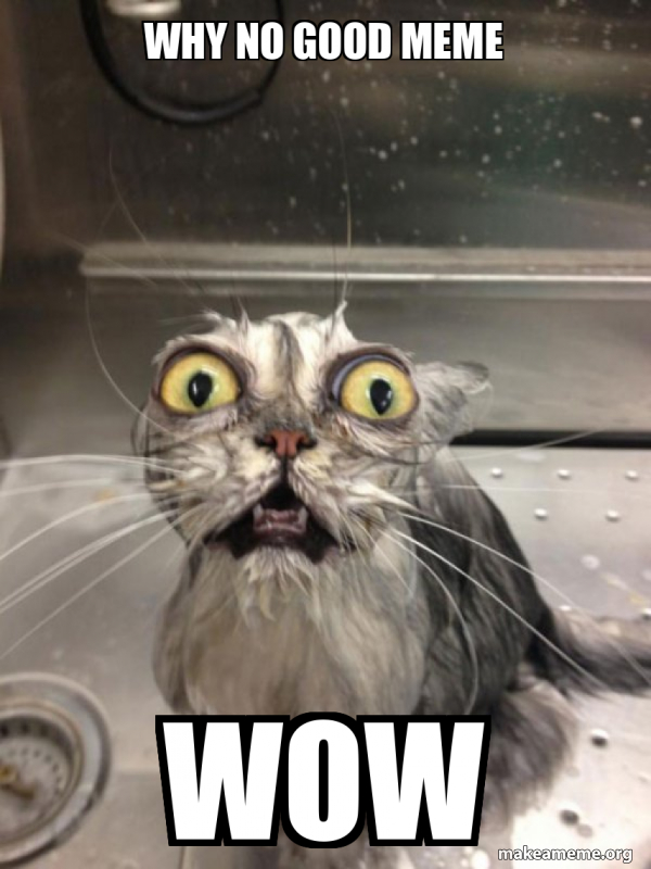 Why no good meme wow - Cat bath Meme Generator