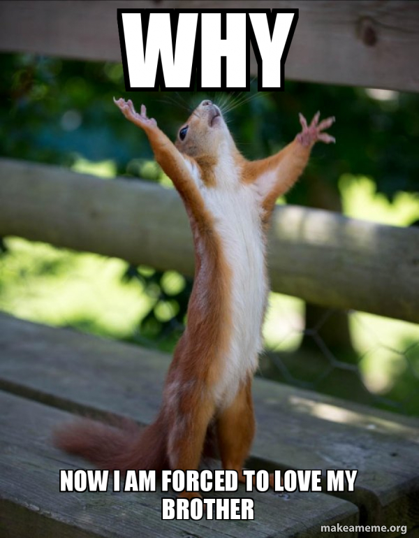 Why Now i am forced to love my brother - Happy Squirrel Meme Generator