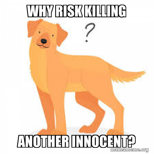 Why risk killing another innocent? Meme Generator