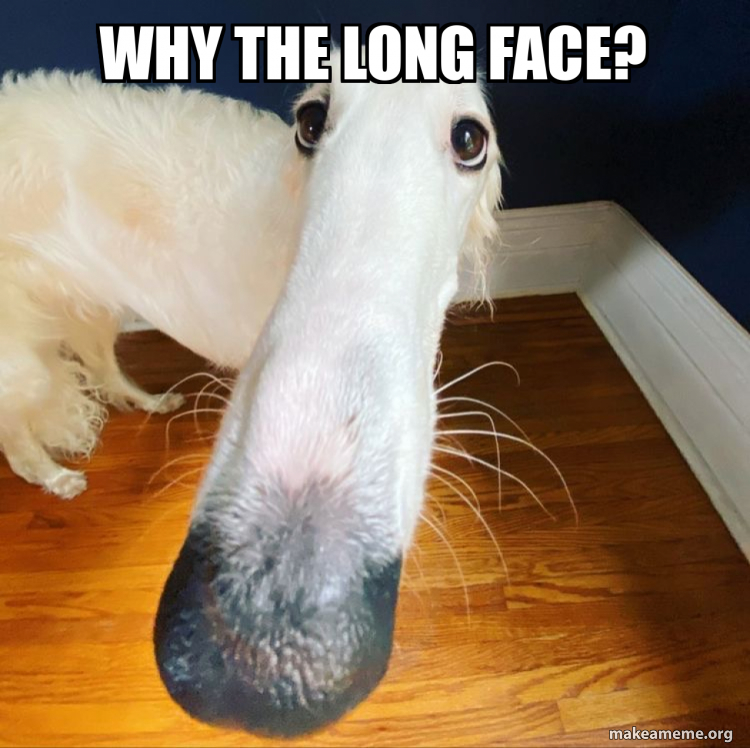 why the long face? Meme Generator