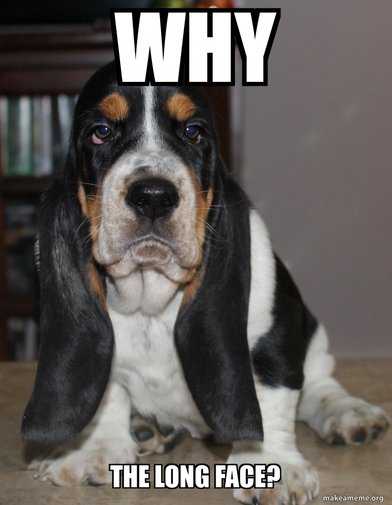 Why The long face? Meme Generator