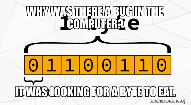 Why was there a bug in the computer? It was looking for a byte to eat ...