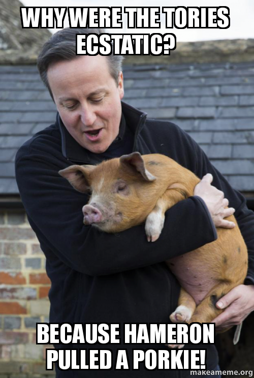 Why were the Tories ecstatic? Because Hameron Pulled a Porkie! Meme ...