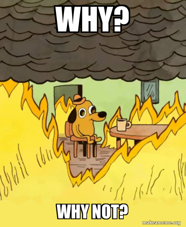 Why? Why not? - This Is Fine Meme Generator