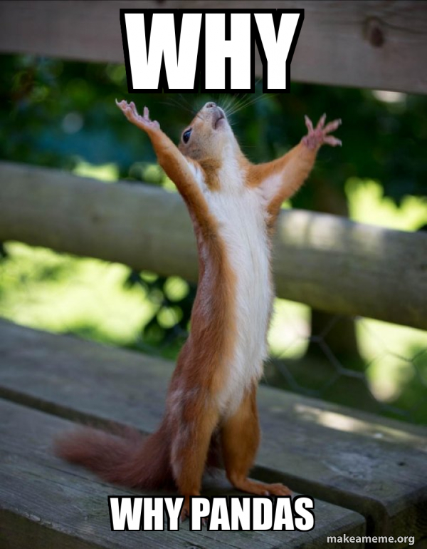 WHY WHY PANDAS - Happy Squirrel Meme Generator