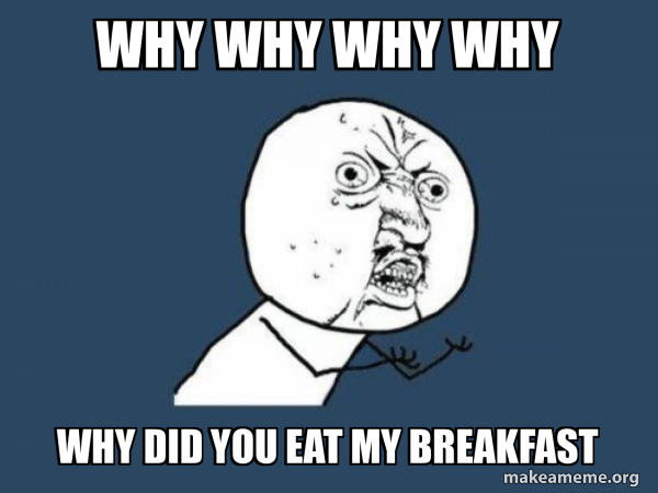 why why WHY WHY WHY DID YOU EAT MY BREAKFAST - Y U No Meme Generator