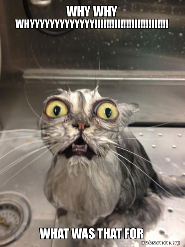 why why WHYYYYYYYYYYYYY!!!!!!!!!!!!!!!!!!!!!!!!!! what was that for ...