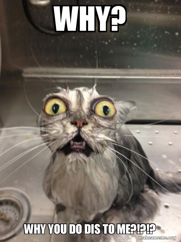 Why? Why You do dis to me?!?!? - Cat bath Meme Generator
