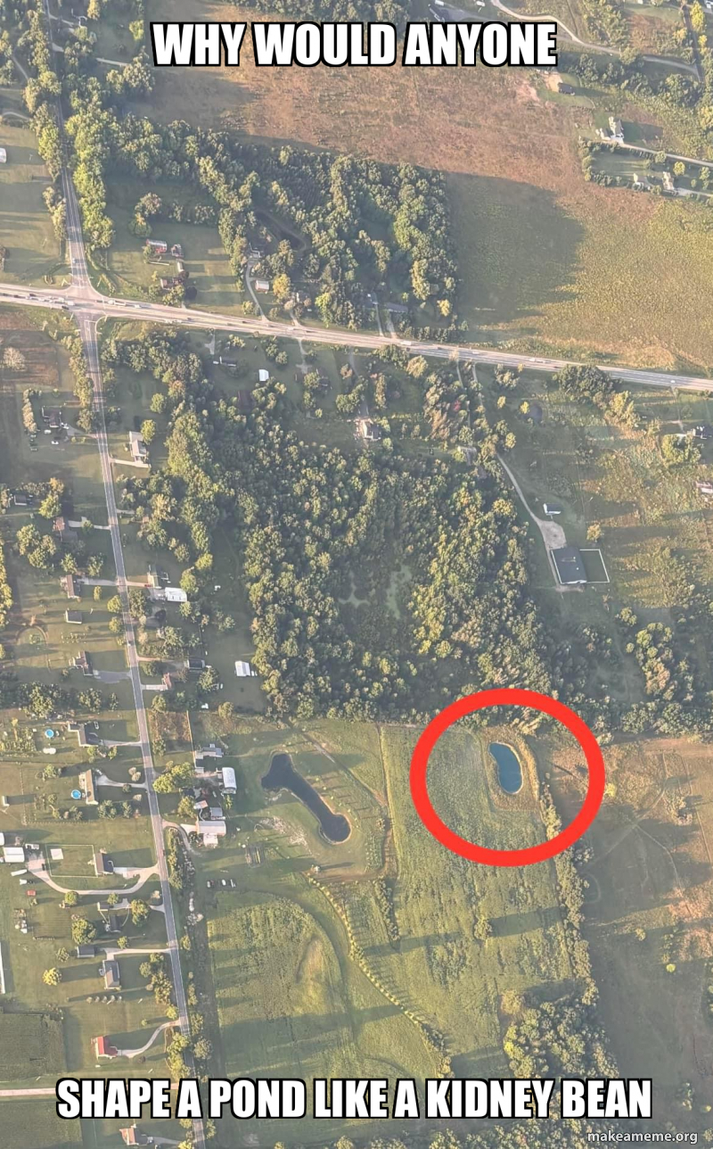 Why would anyone Shape a pond like a kidney bean Meme Generator