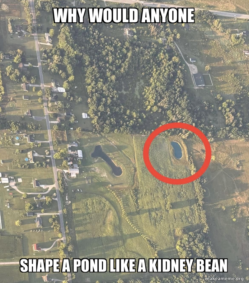 Why would anyone Shape a pond like a kidney bean Meme Generator